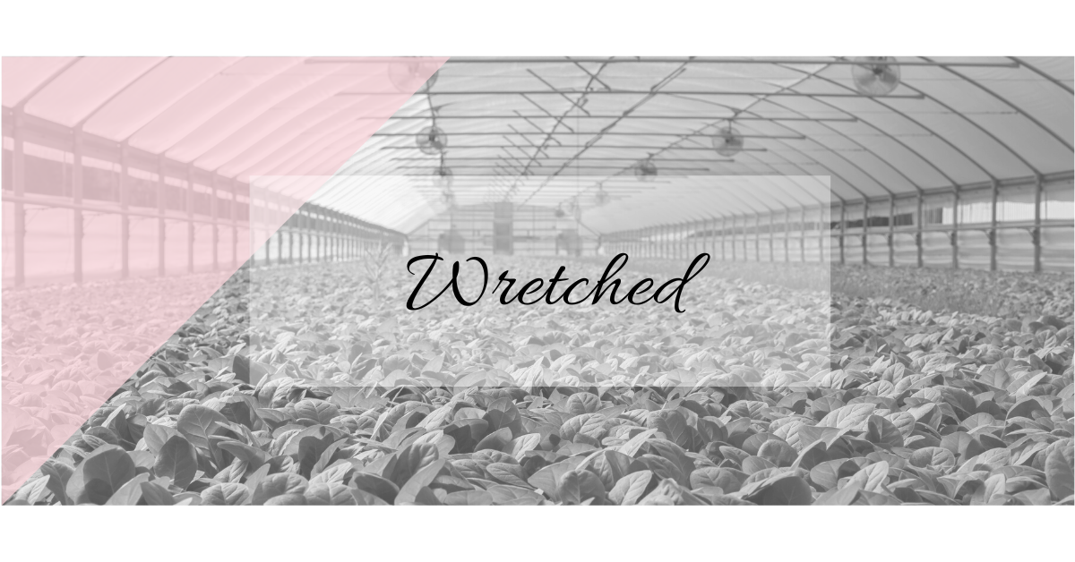 Wretched: Review – Basic White Book's Blog