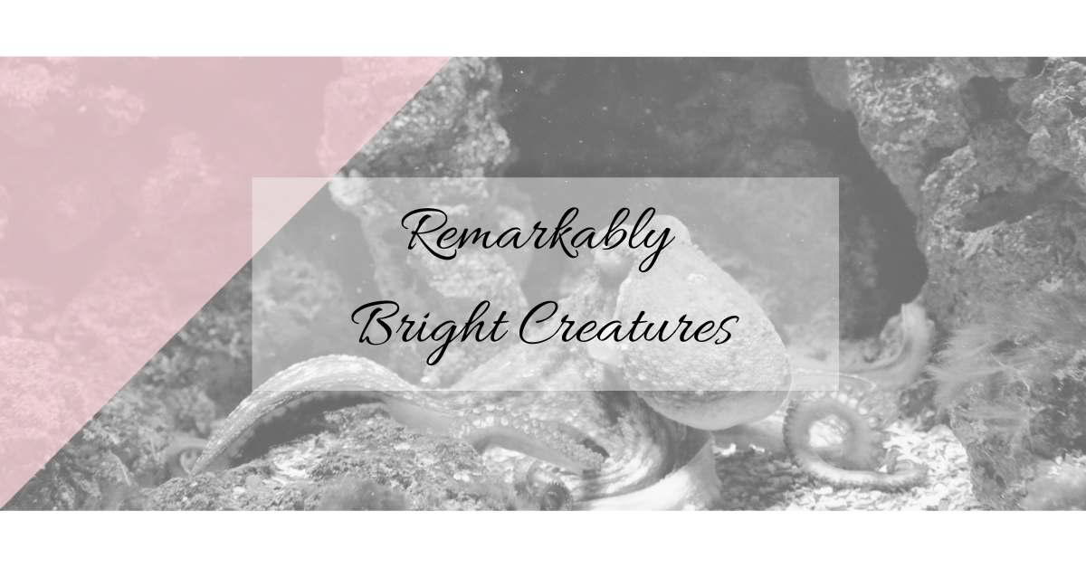 Remarkably Bright Creatures: Review – Basic White Book's Blog